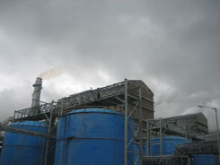 TheTribuneOnline - IFFCO sings MoU with Fonterra on dairy farm in India